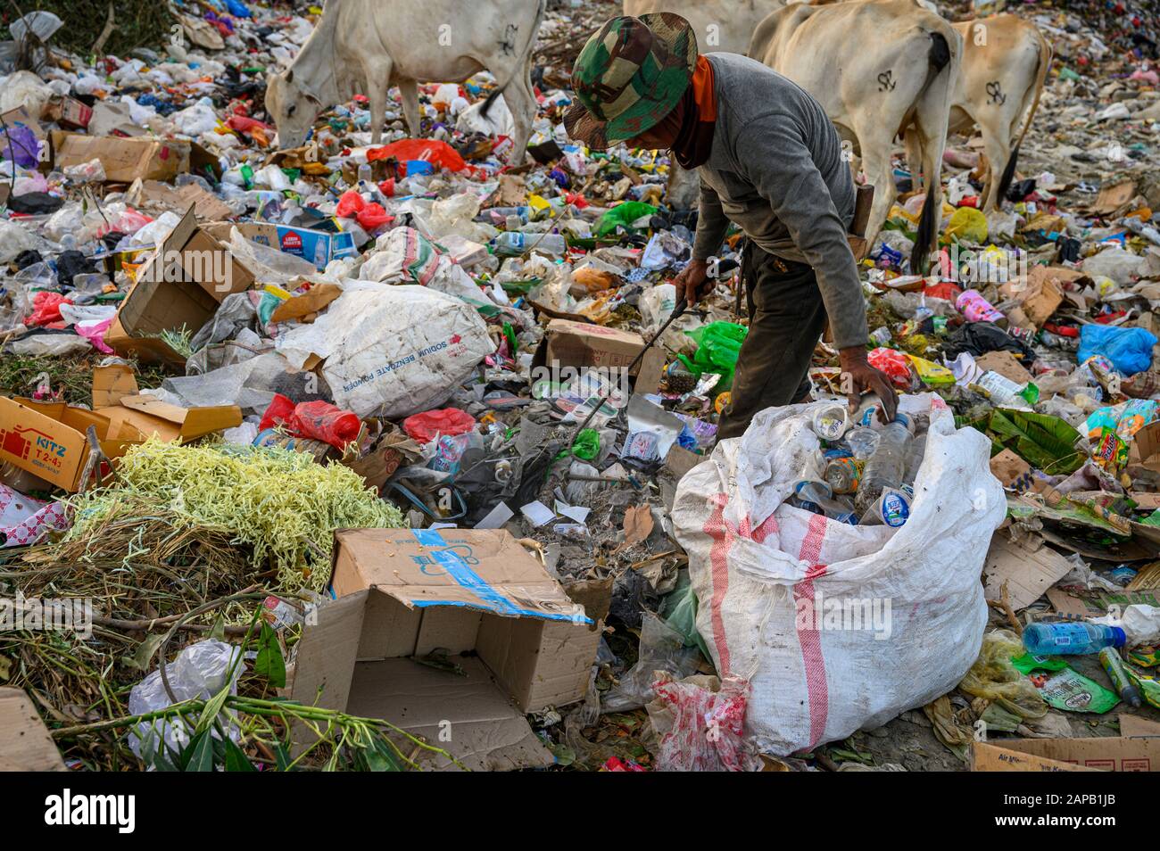 A scavenger picks up plastic waste to be recycled at the Kawatuna ...