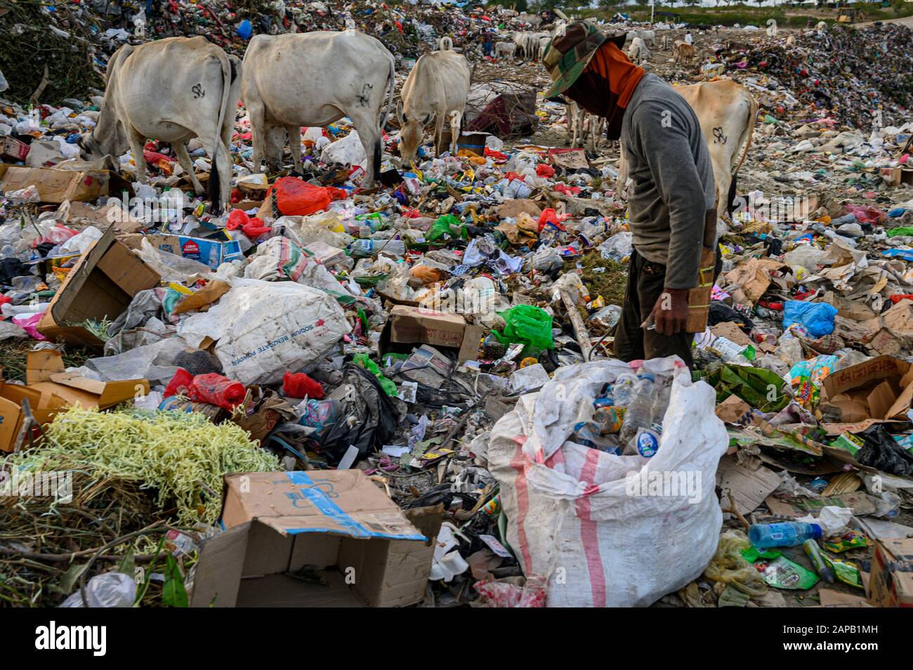A scavenger picks up plastic waste to be recycled at the Kawatuna ...