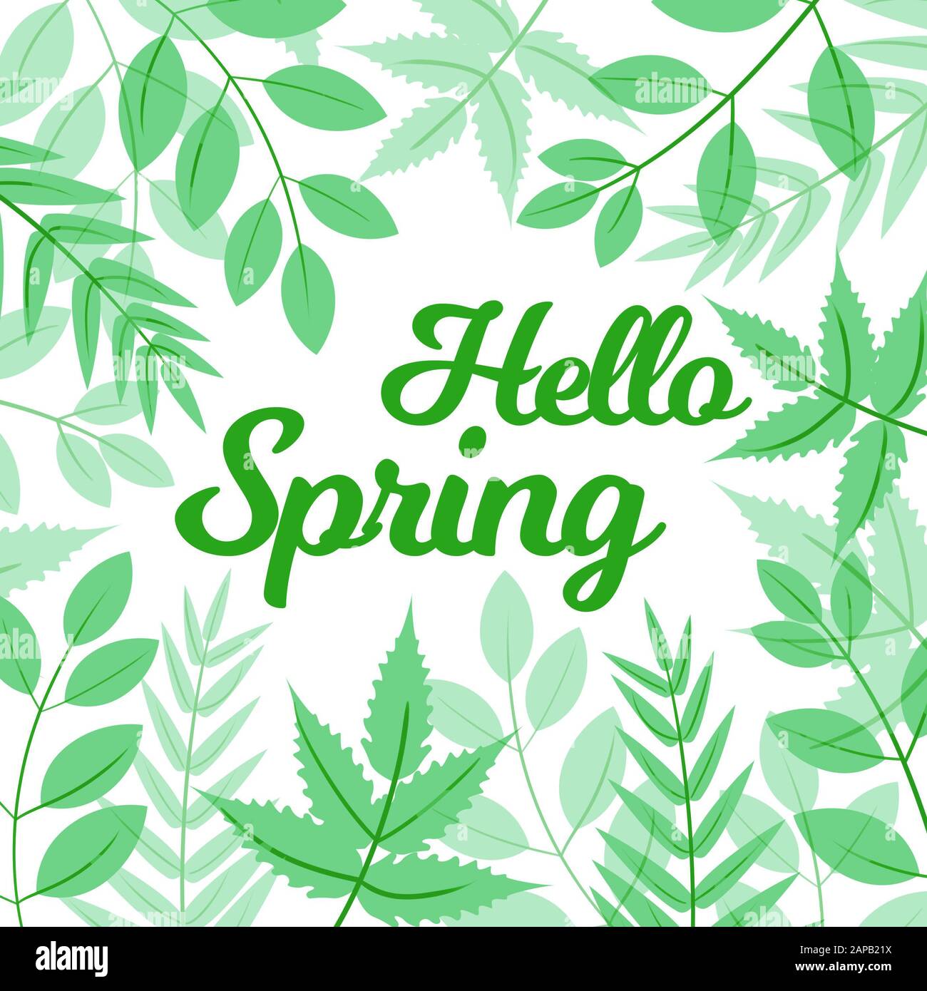 Hello spring text with leaves over white background Stock Photo - Alamy