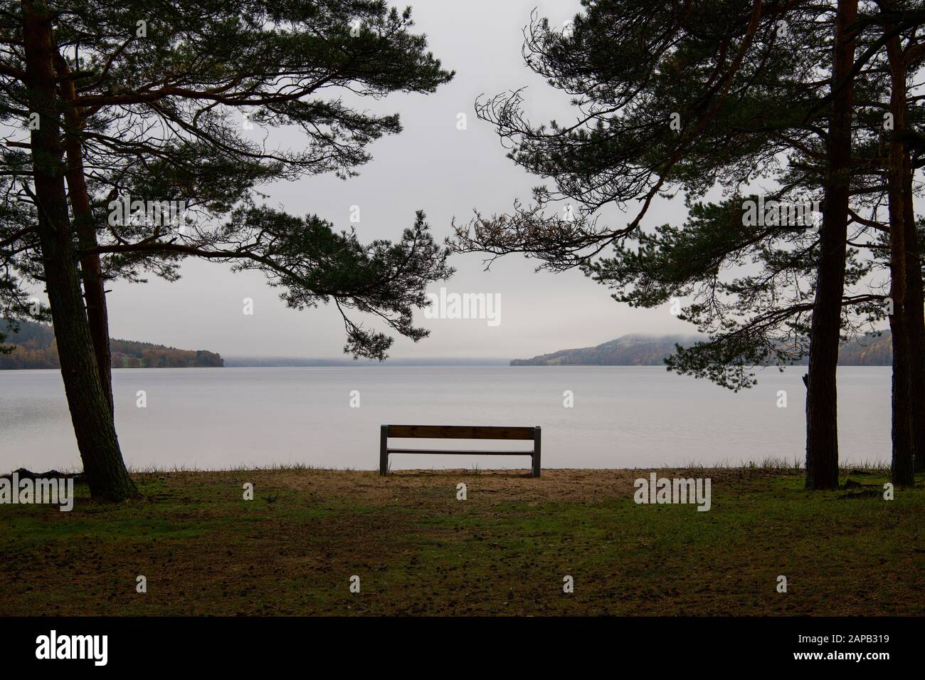 Lone bench by lake hi-res stock photography and images - Alamy