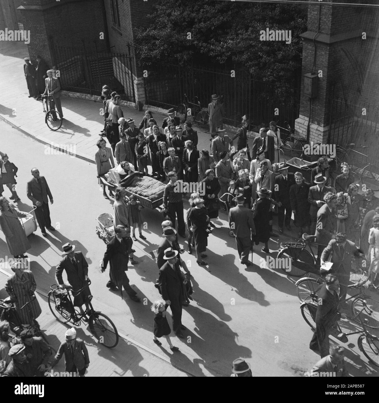 Liberation of The Hague Description: Liberation of The Hague. Disease ...