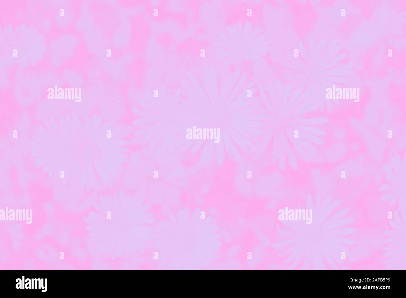 Abstract gradient soft pink color background with pattern of daisy ...