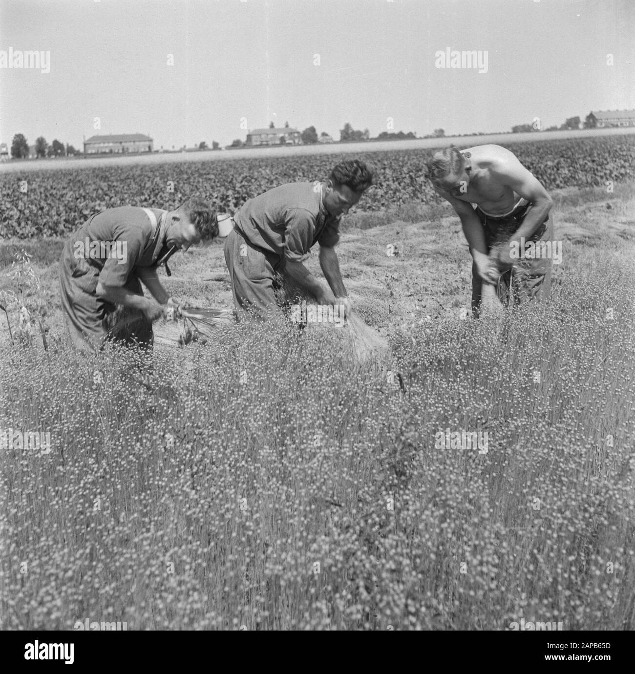 July 1945 Black and White Stock Photos & Images - Alamy