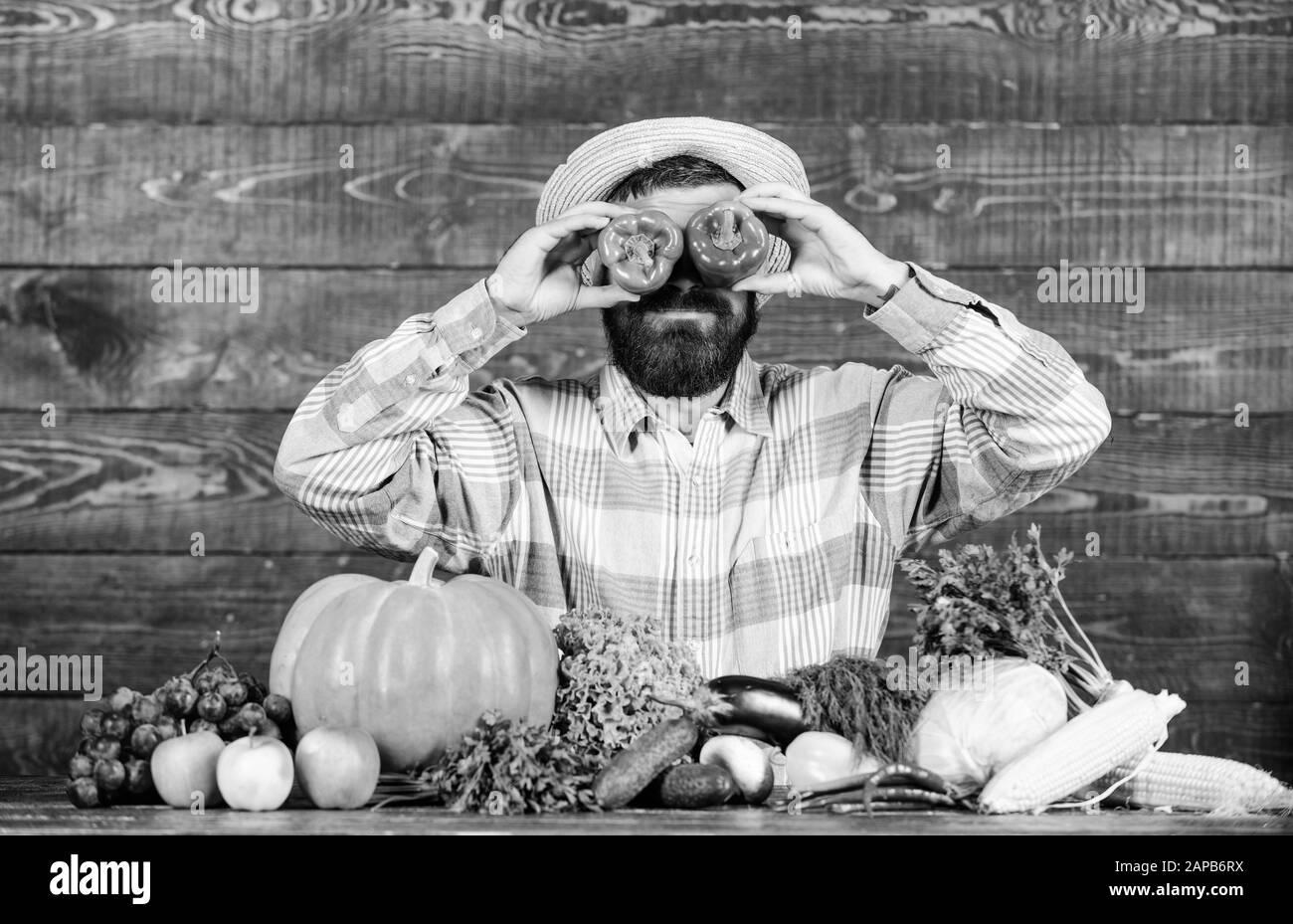 Farmer having fun wooden background. Man hold pepper harvest as funny ...