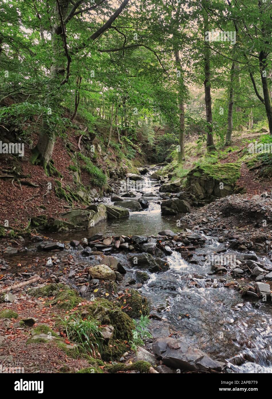 Rippling brook in the English Lake District Stock Photo - Alamy