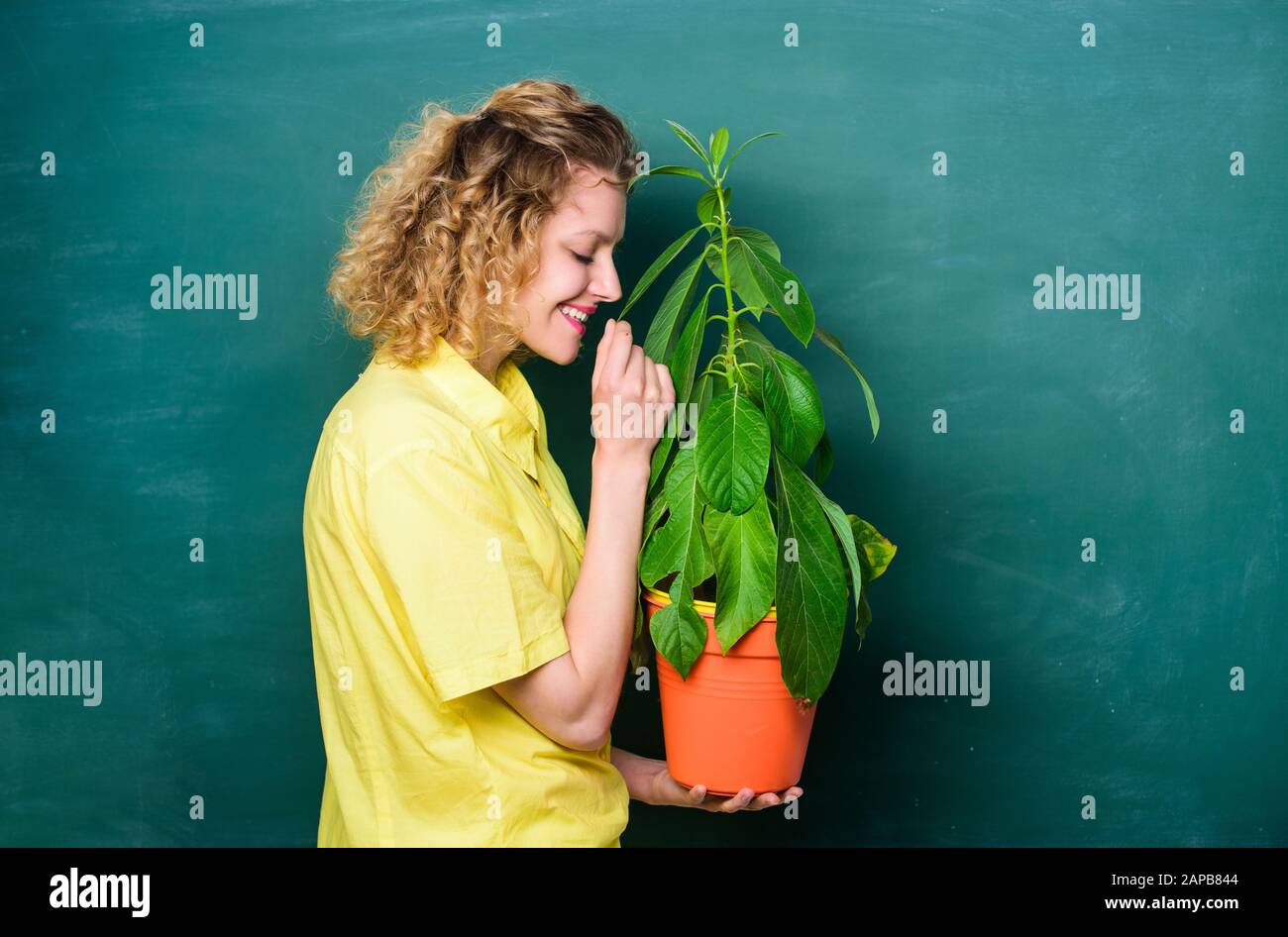 tree of life. teacher woman in glasses at biology lesson. school nature ...
