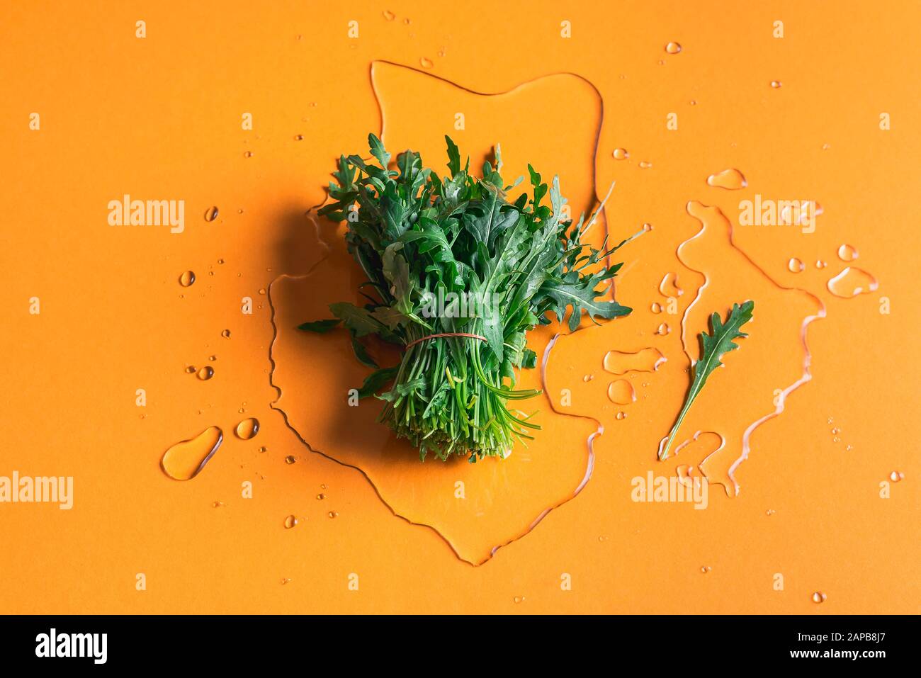 Arugula bundle on water splash on orange paper background. Freshly ...
