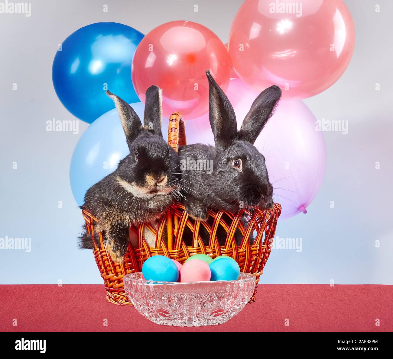 Cute rabbits decorated eggs hi-res stock photography and images - Alamy