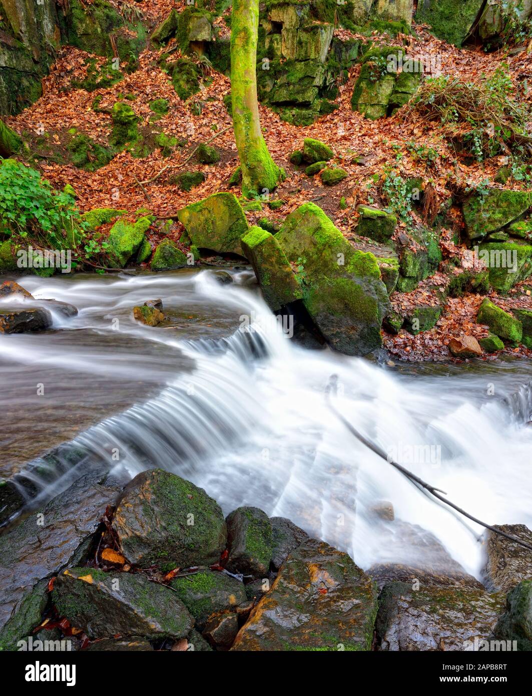 Lumsdale falls waterfall,Matlock,Derbyshire peak district,England ,UK ...