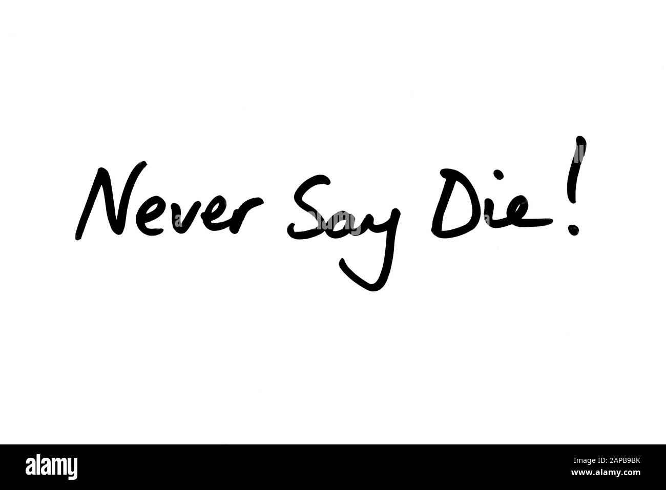 Black Sabbath Never Say Die Wallpaper