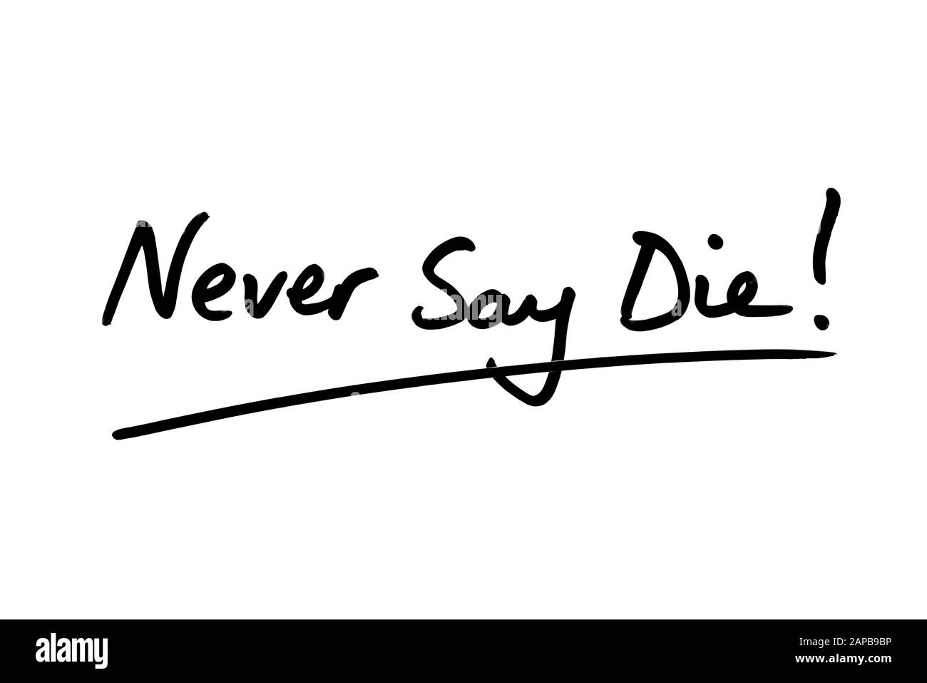 Never Say Die Wallpaper