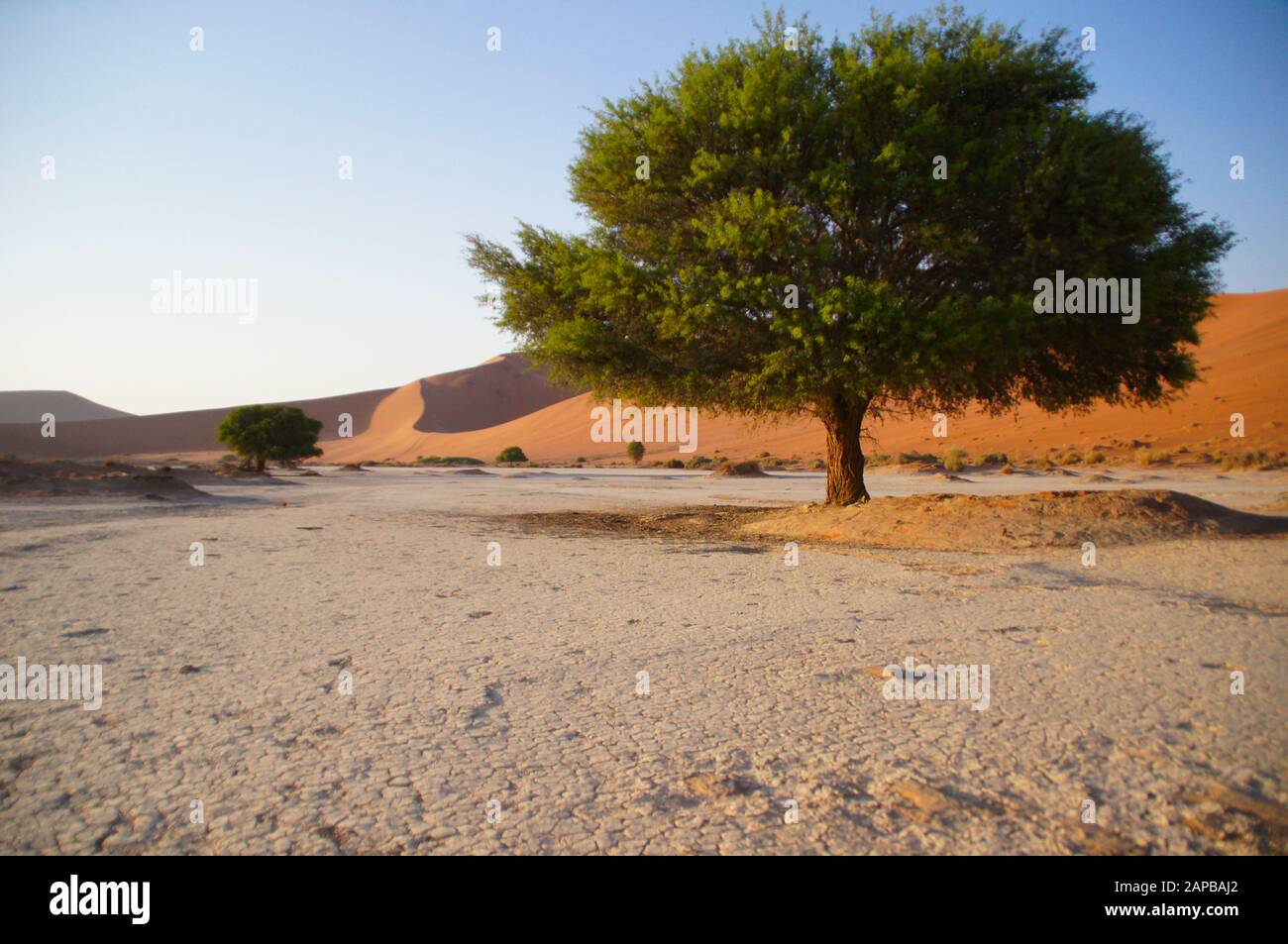 Expedition national park hi-res stock photography and images - Alamy