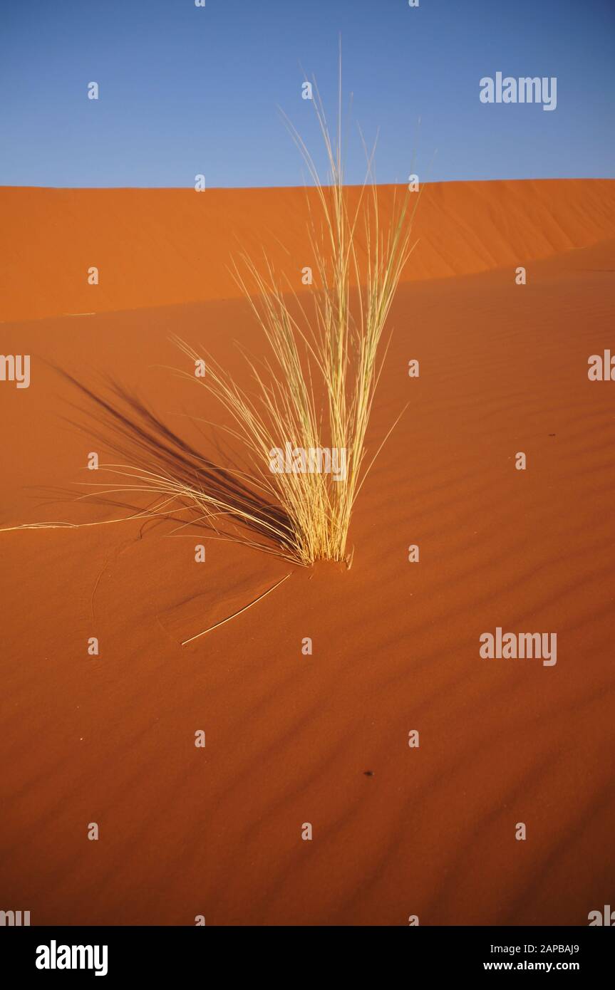 Namibia tour hi-res stock photography and images - Alamy