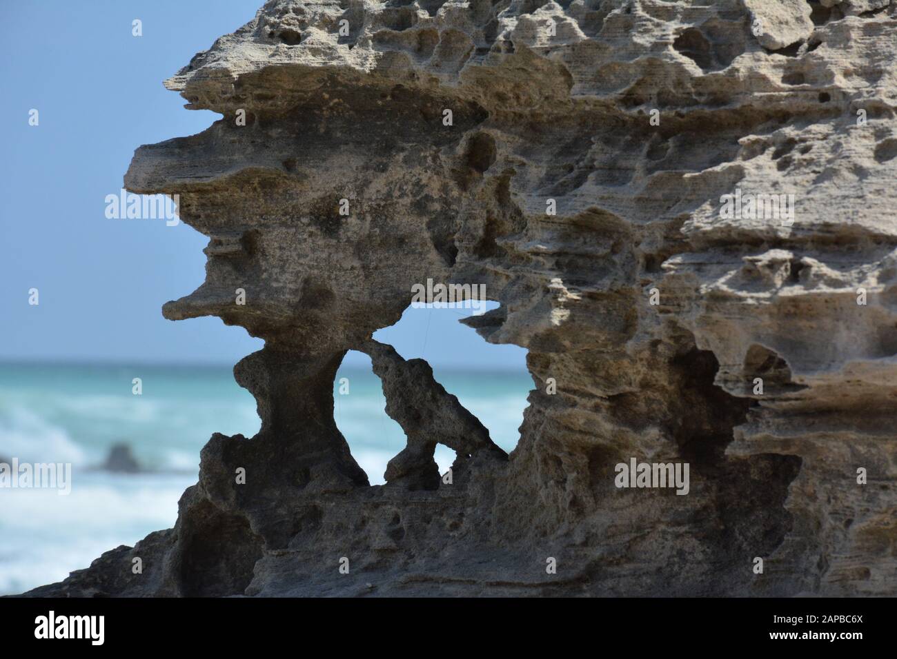 Formation to see hi-res stock photography and images - Alamy