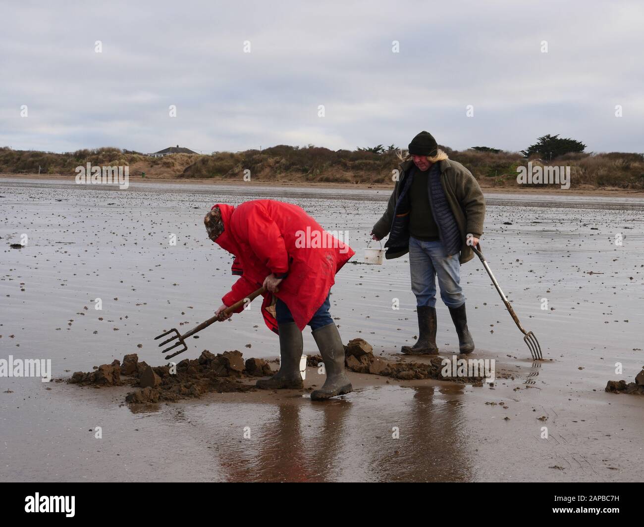 Bait digging beach hi-res stock photography and images - Alamy