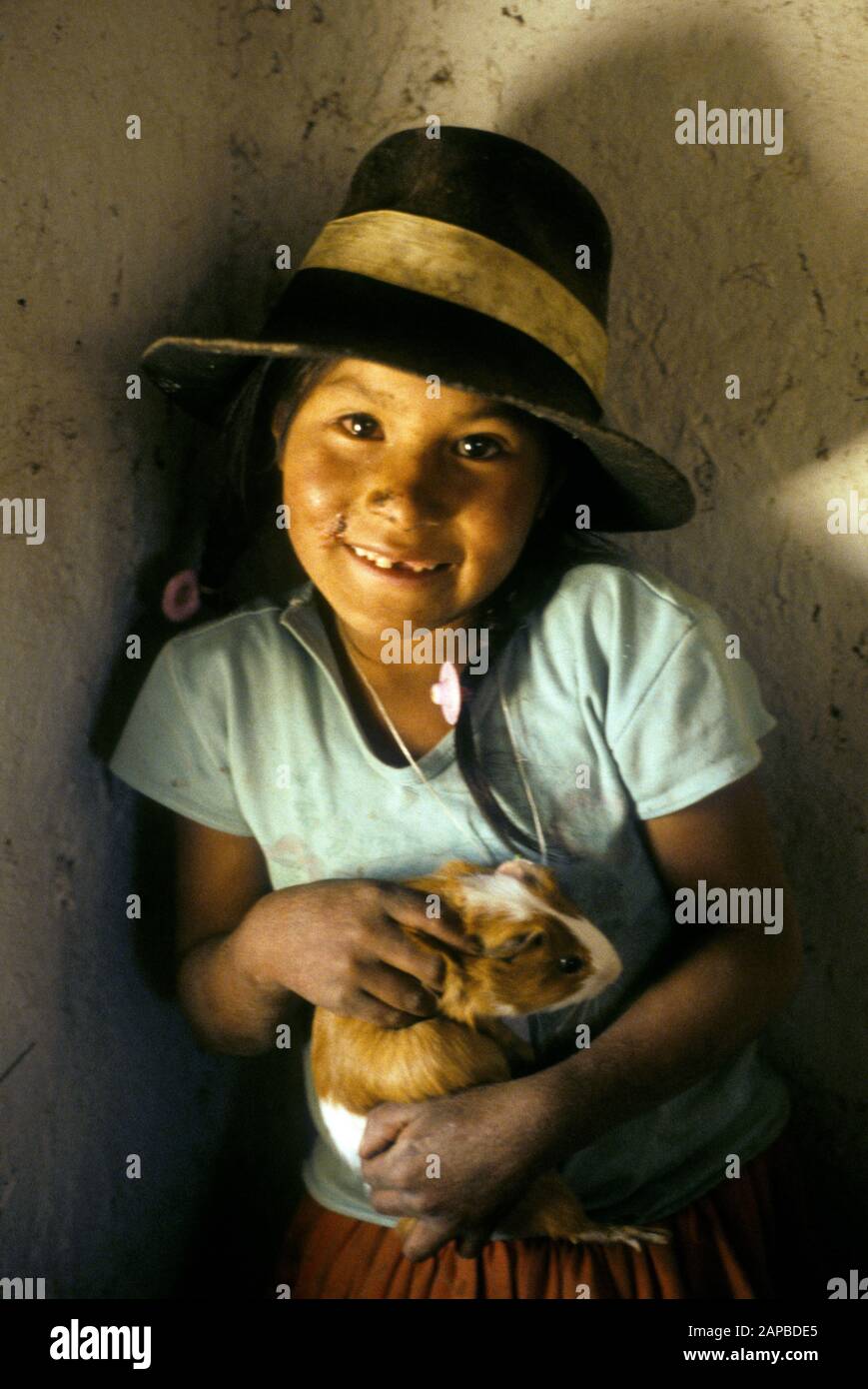 Bolivia guinea hi-res stock photography and images - Alamy