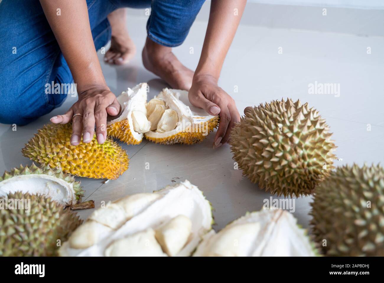 Durian farm malaysia hi-res stock photography and images - Alamy