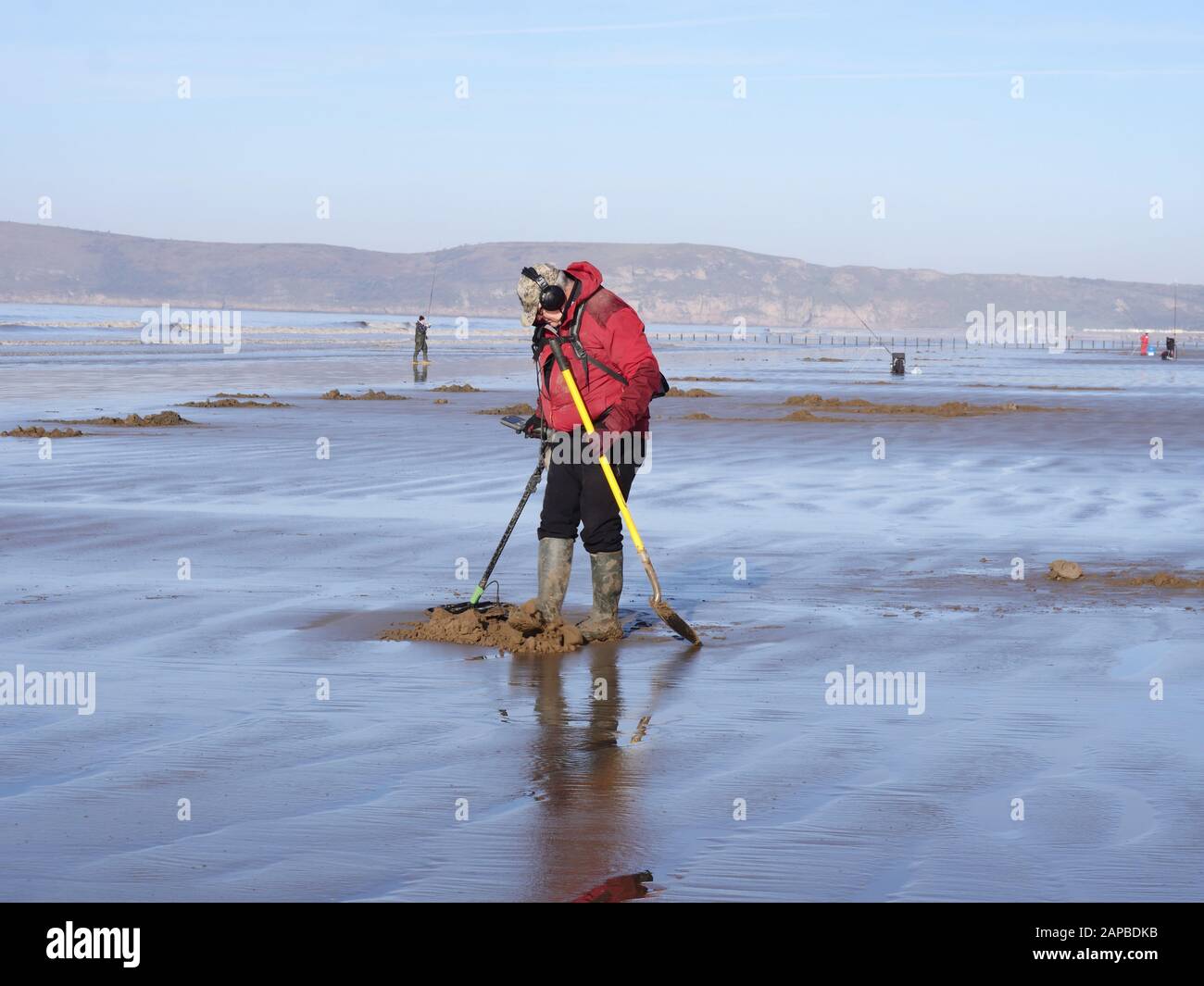 Metal Detecting on a Somerset beach in UK Stock Photo - Alamy