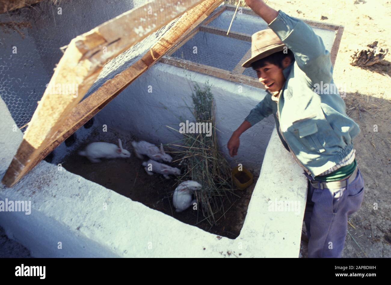 Bolivia guinea hi-res stock photography and images - Alamy