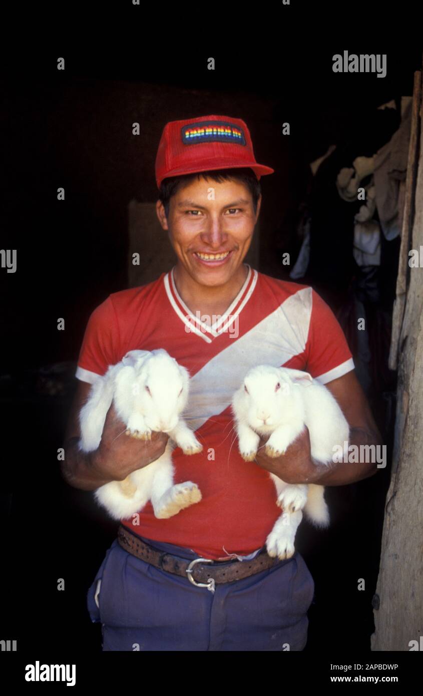 BOLIVIA Farmer with guinea pigs photo by Sean Sprague Stock Photo - Alamy