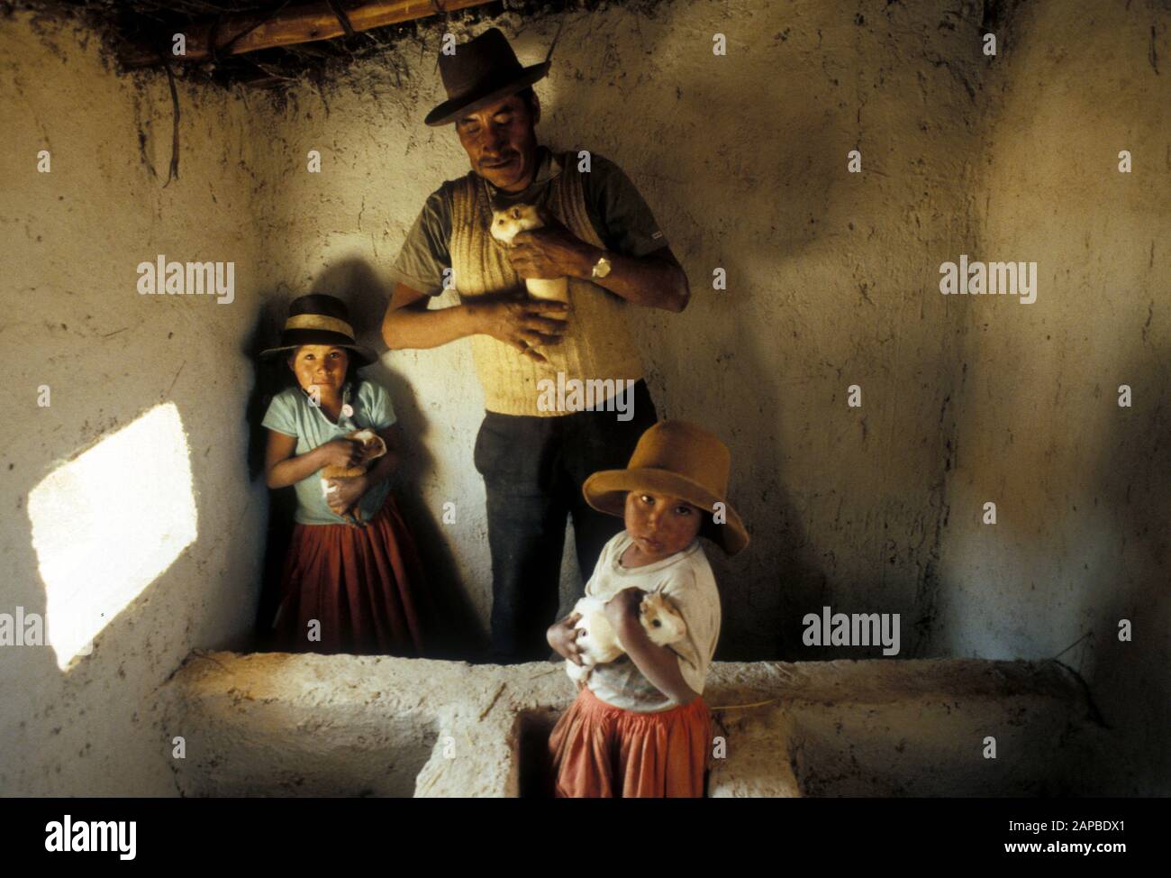BOLIVIA Farmer with guinea pigs photo by Sean Sprague Stock Photo - Alamy