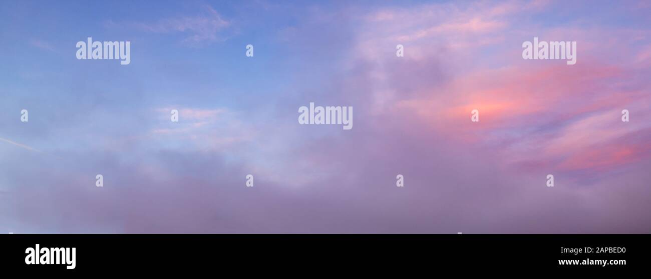 Fluffy pink clouds in evening overcast sky view. Climate, environment ...