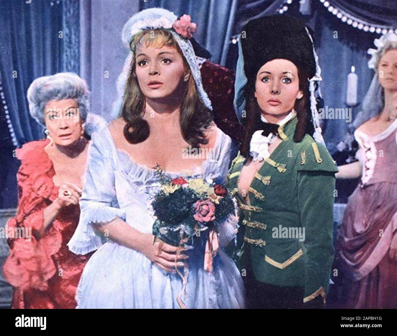 Meyer's hi-res stock photography and images - Alamy