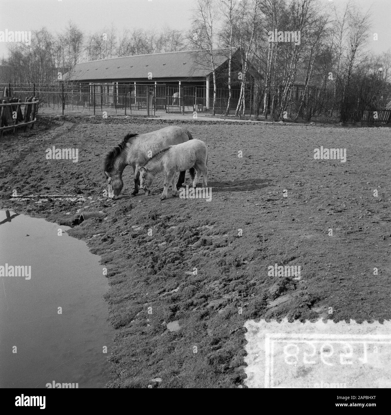 Daughter walski hi-res stock photography and images - Alamy