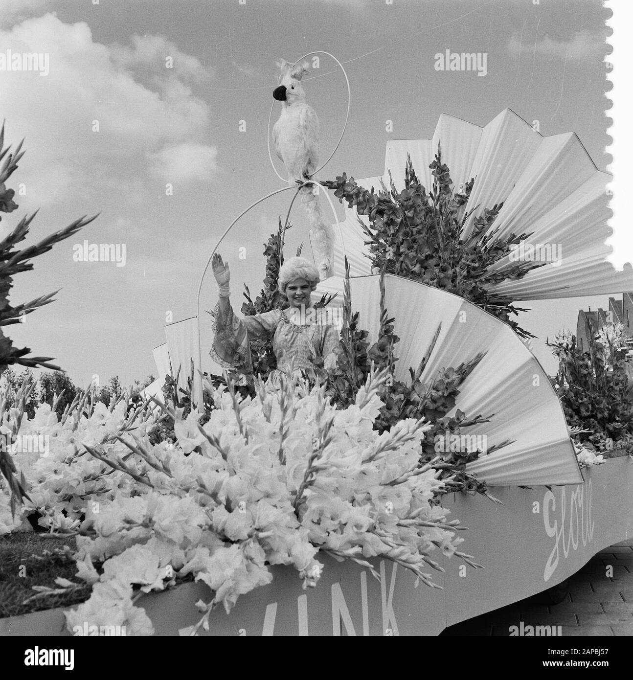 Artistic flower displays Black and White Stock Photos & Images - Alamy