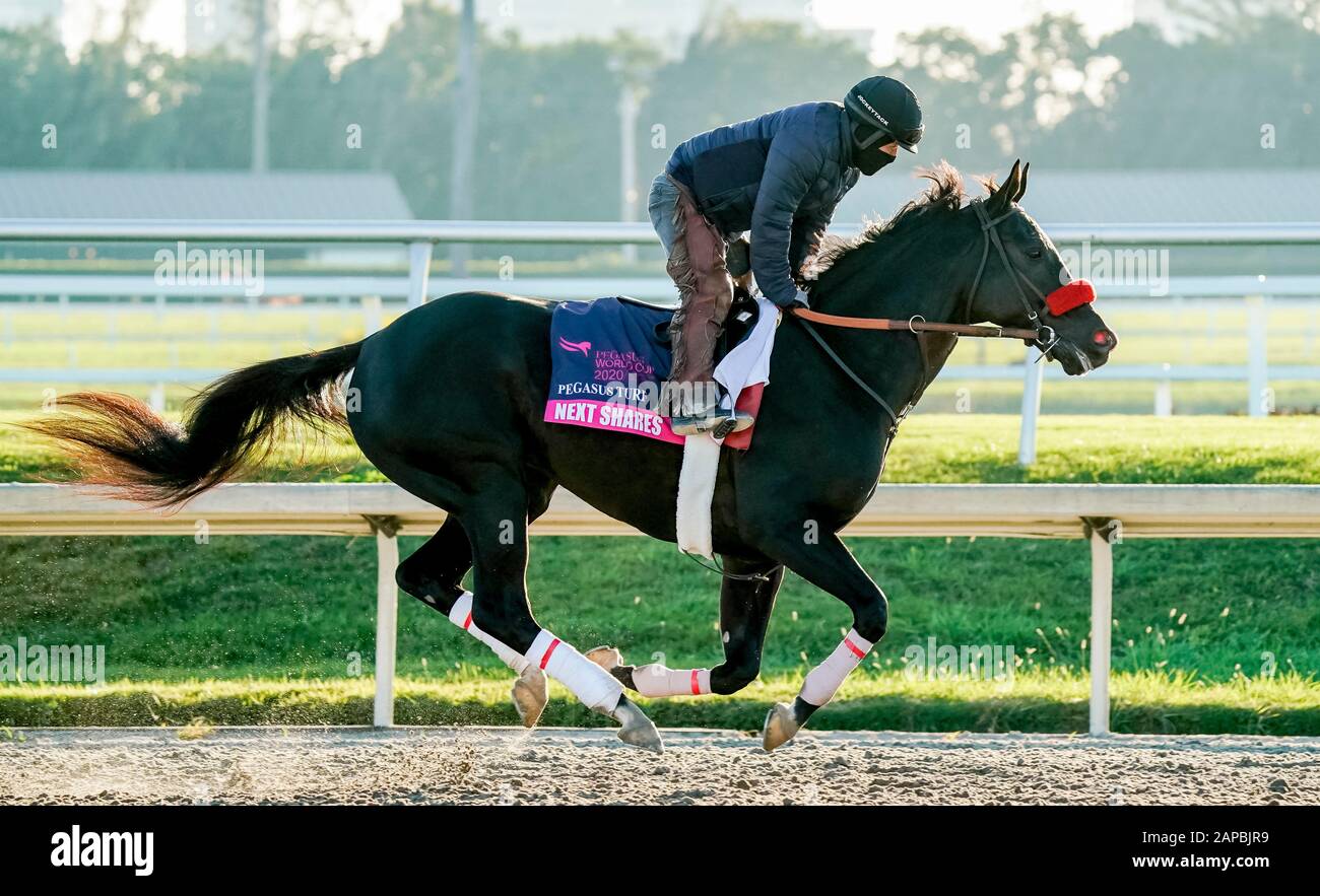 Hallandale Beach, FL, USA. 22nd Jan, 2020. January 22, 2020: Next ...