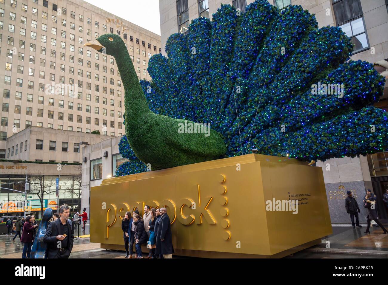 New york peacock hi-res stock photography and images - Alamy