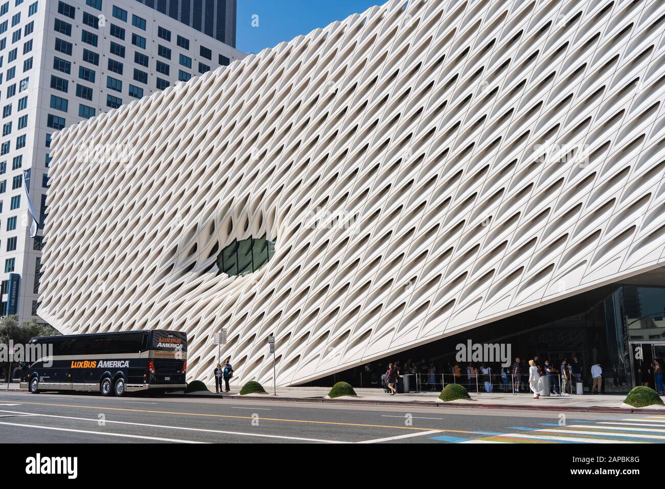 The Broad in Downtown LA, California, USA Stock Photo - Alamy