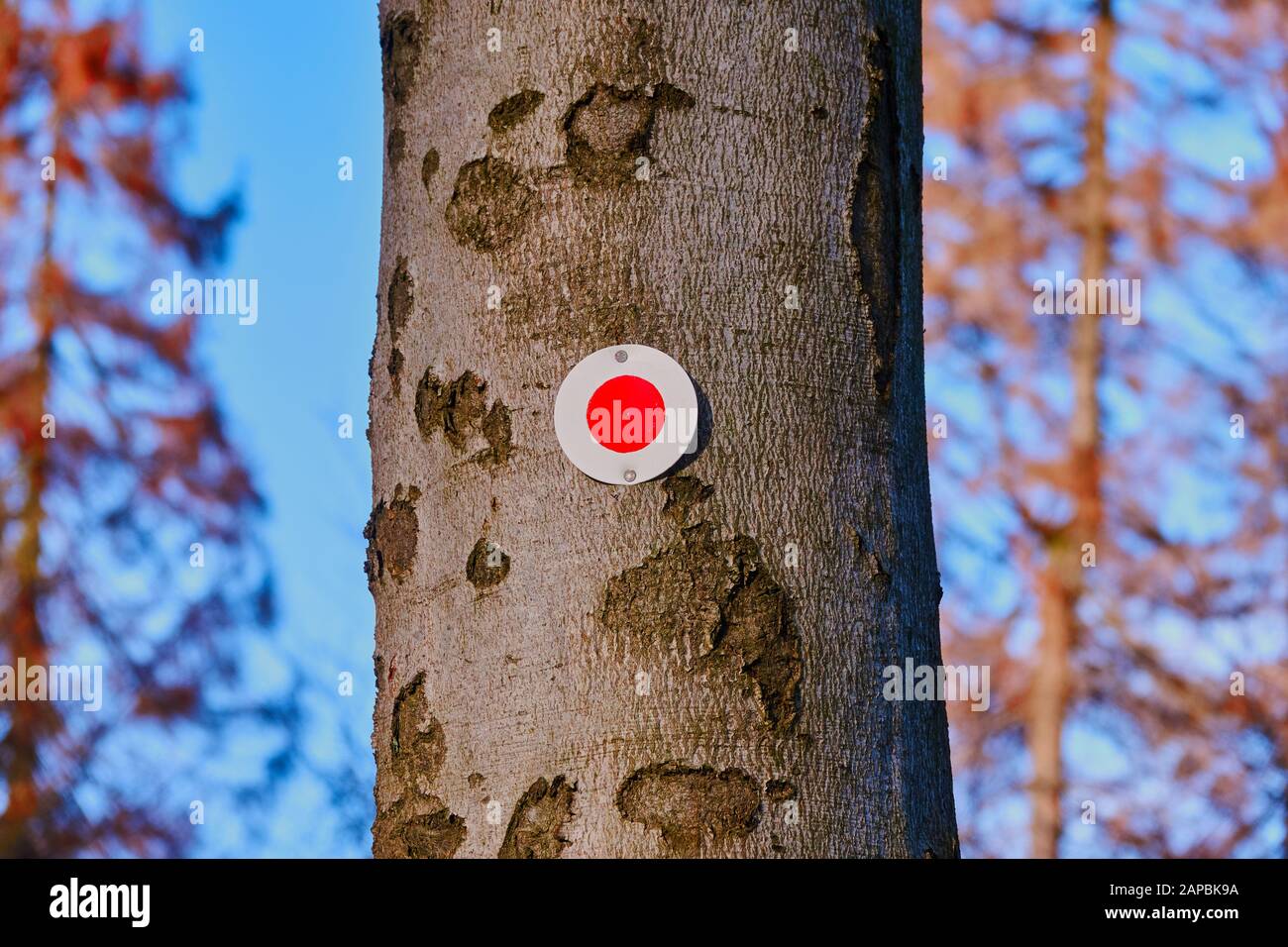 Dot marker hi-res stock photography and images - Alamy