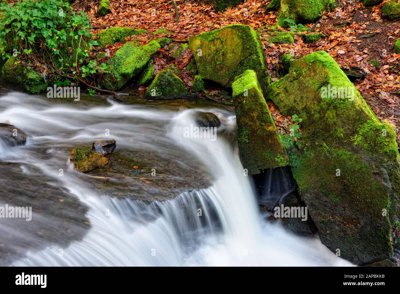 Lumsdale falls waterfall,Matlock,Derbyshire peak district,England ,UK ...
