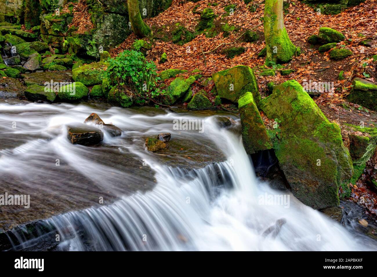 Lumsdale falls waterfall,Matlock,Derbyshire peak district,England ,UK ...