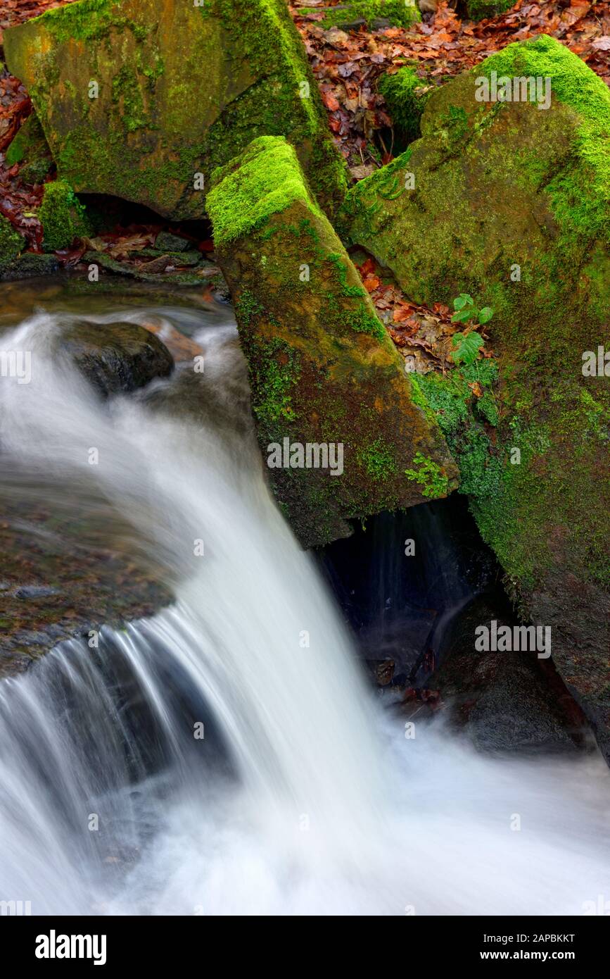 Lumsdale falls waterfall,Matlock,Derbyshire peak district,England ,UK ...