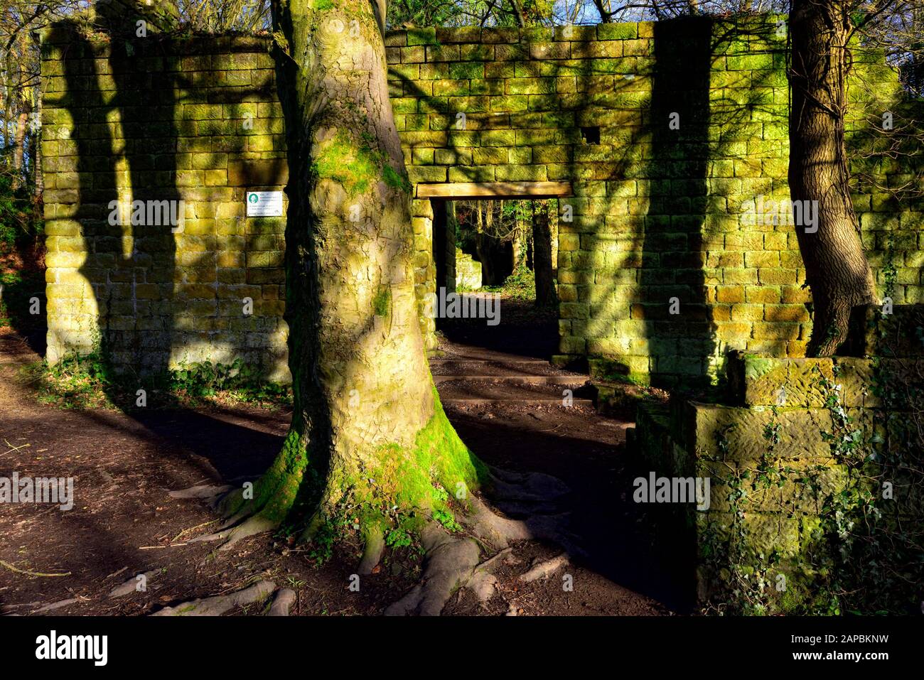 Lumsdale Valley Mill ruins,Matlock,Derbyshire,Peak District,England,UK ...