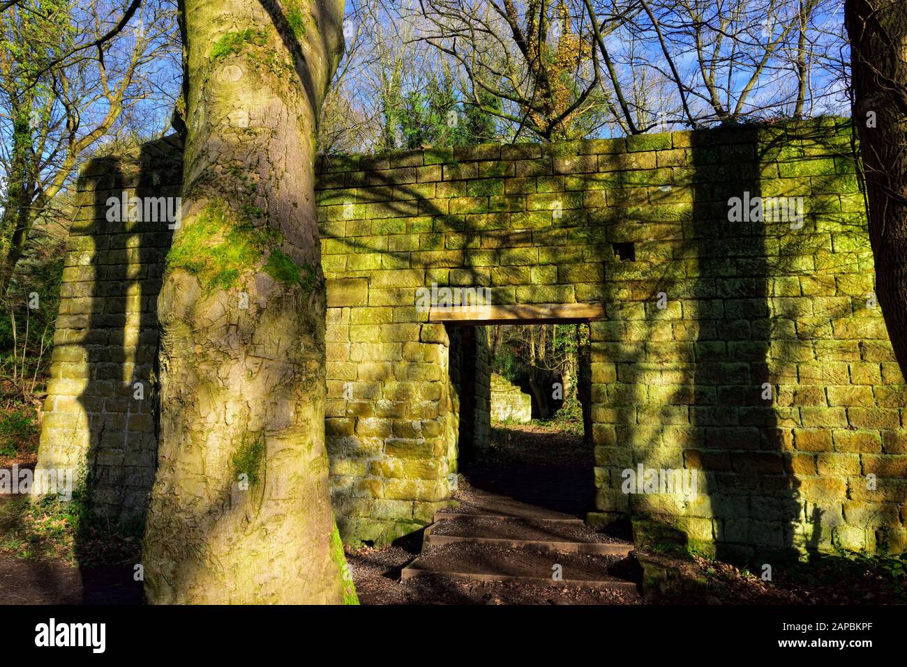 Lumsdale Valley Mill ruins,Matlock,Derbyshire,Peak District,England,UK ...