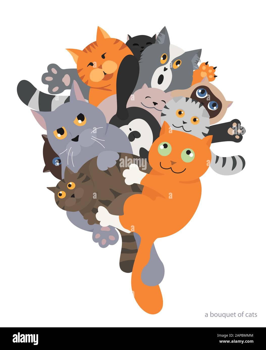 Portrait cute bicolor cat Stock Vector Images - Alamy