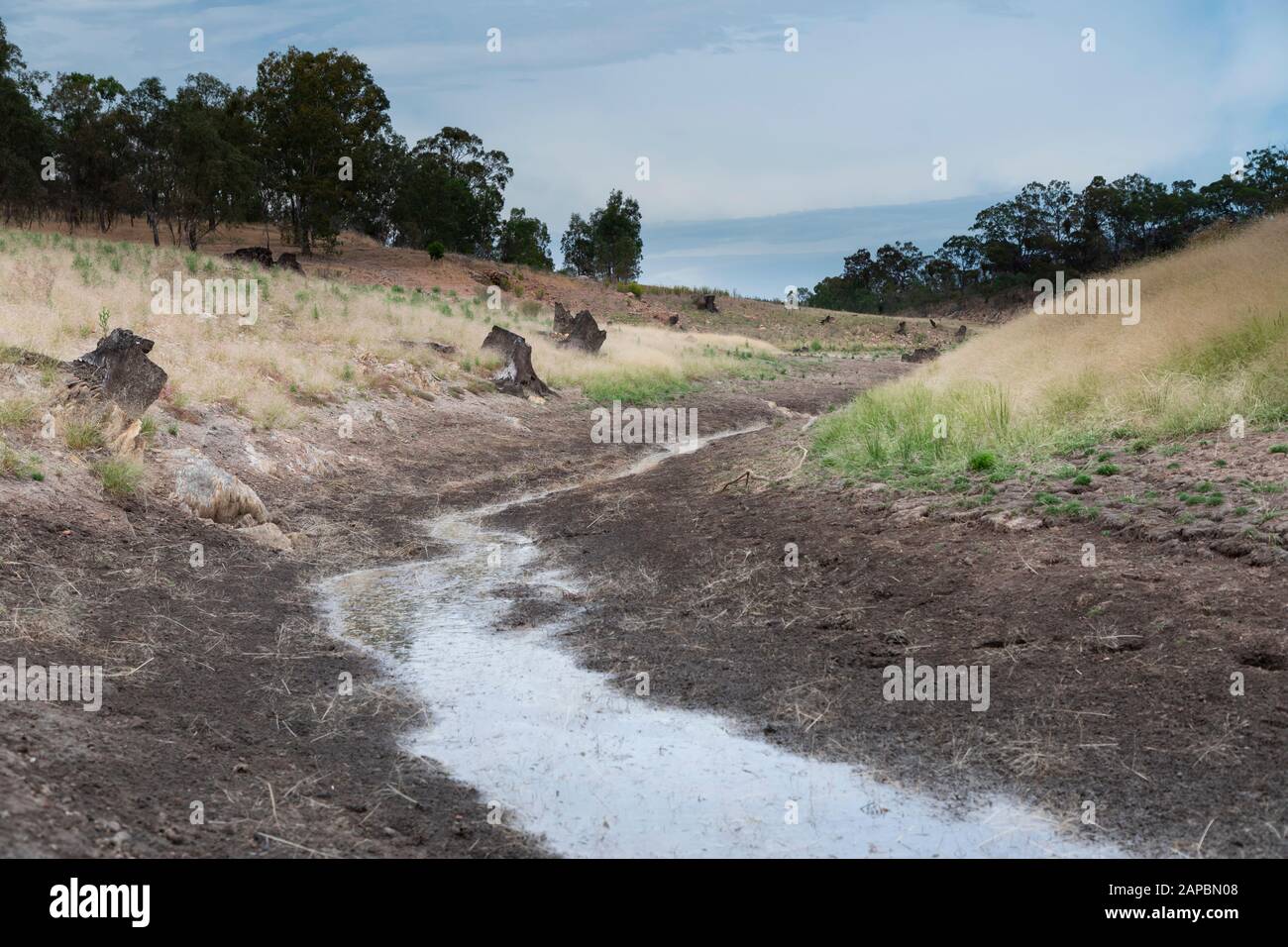 A fresh water reservoir feeder creek running dry due to the drought in ...