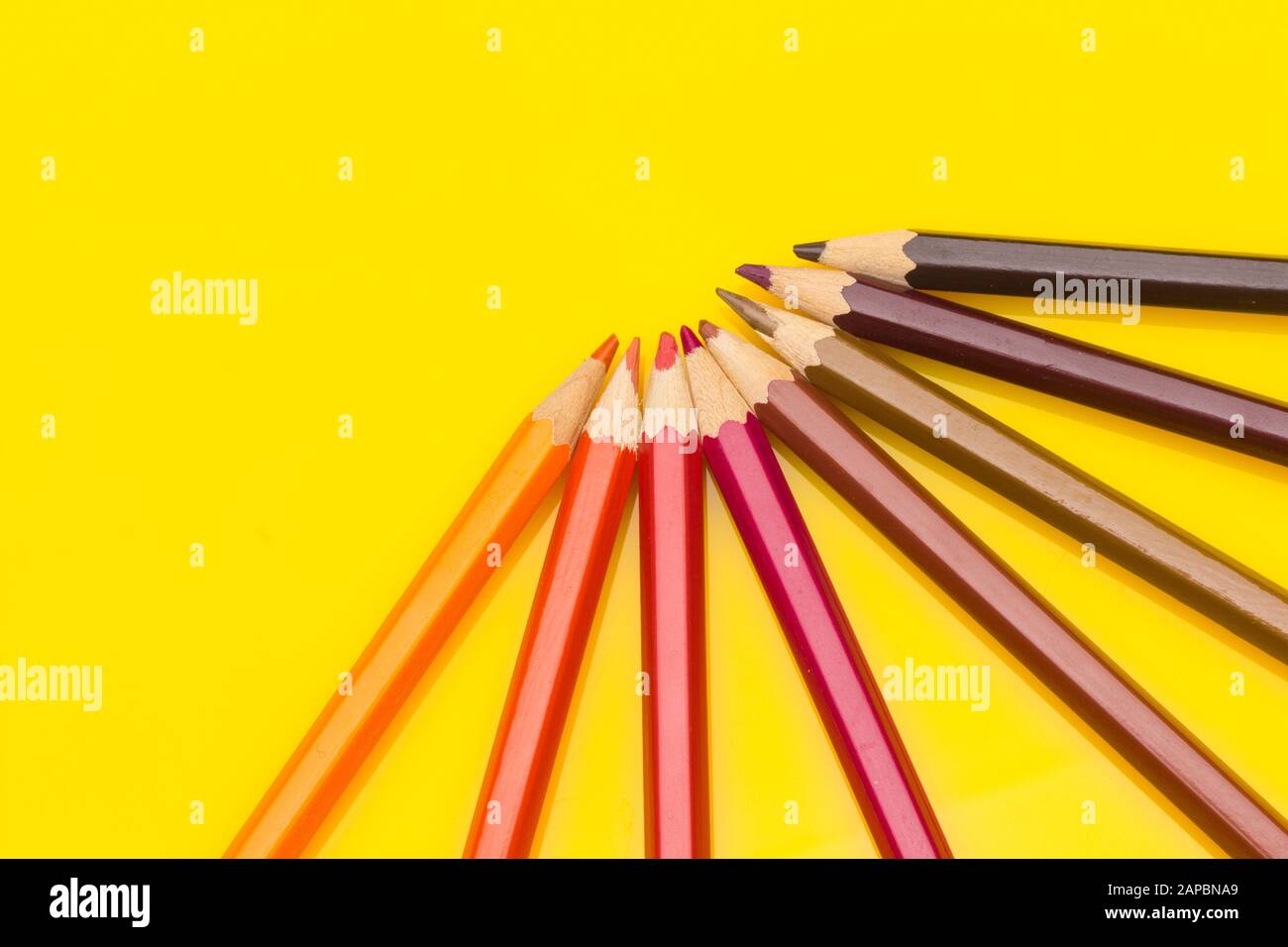 Colored pencils with a sharp point ready to draw and paint drawings ...