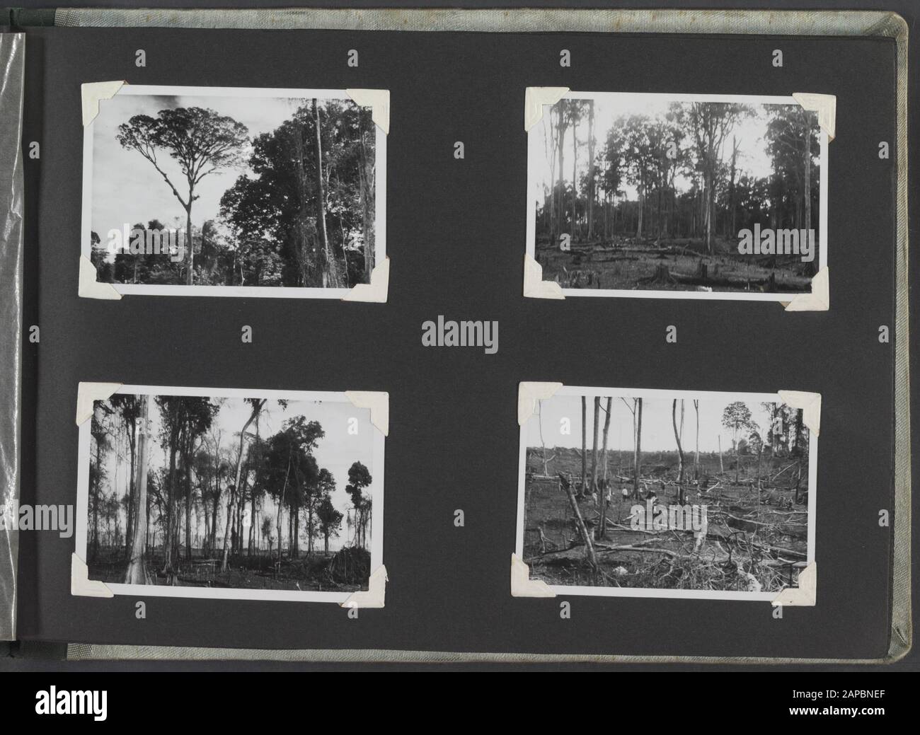 Oerbosch hi-res stock photography and images - Alamy