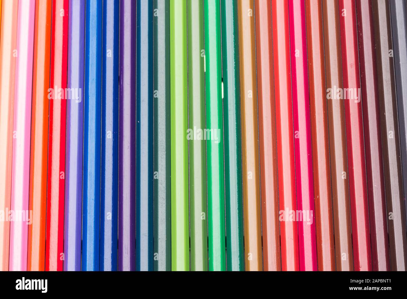 Colored pencils with a sharp point ready to draw and paint drawings ...