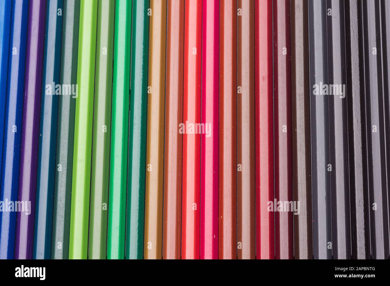 Colored pencils with a sharp point ready to draw and paint drawings ...