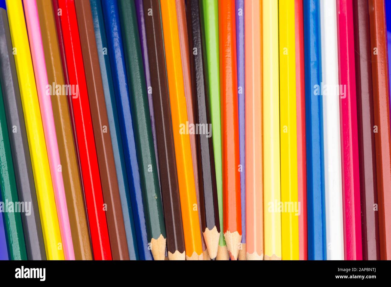 Colored pencils with a sharp point ready to draw and paint drawings ...