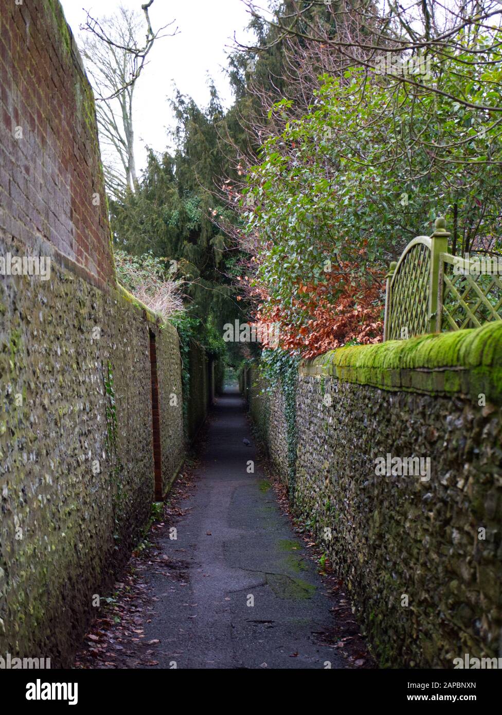 Country Lanes in England. Rich in foliage, wonderful walls, beautiful ...