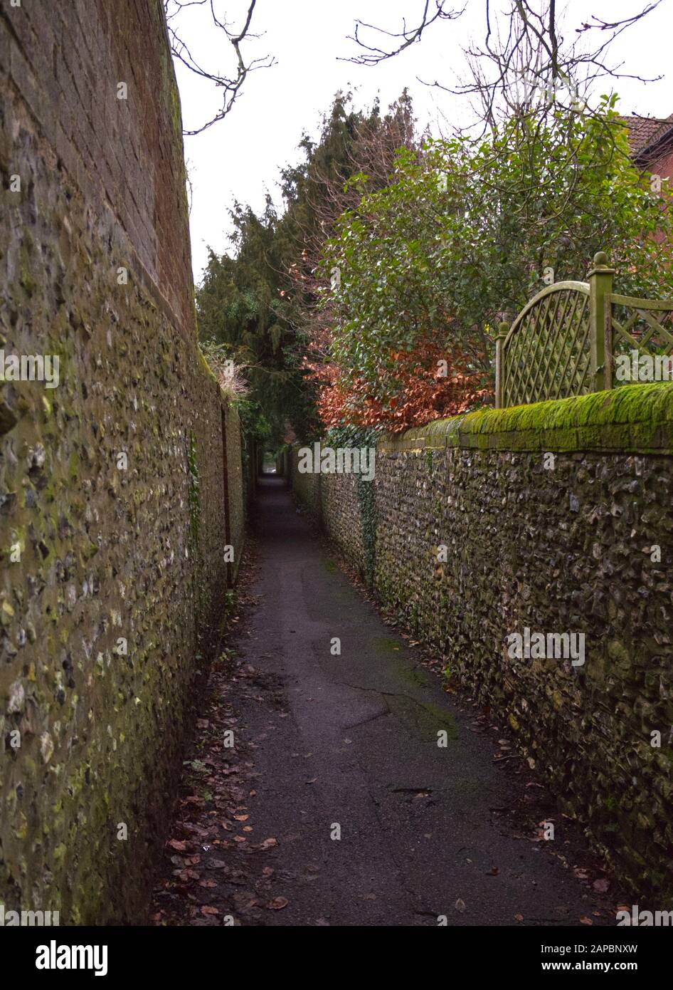 Country Lanes in England. Rich in foliage, wonderful walls, beautiful ...