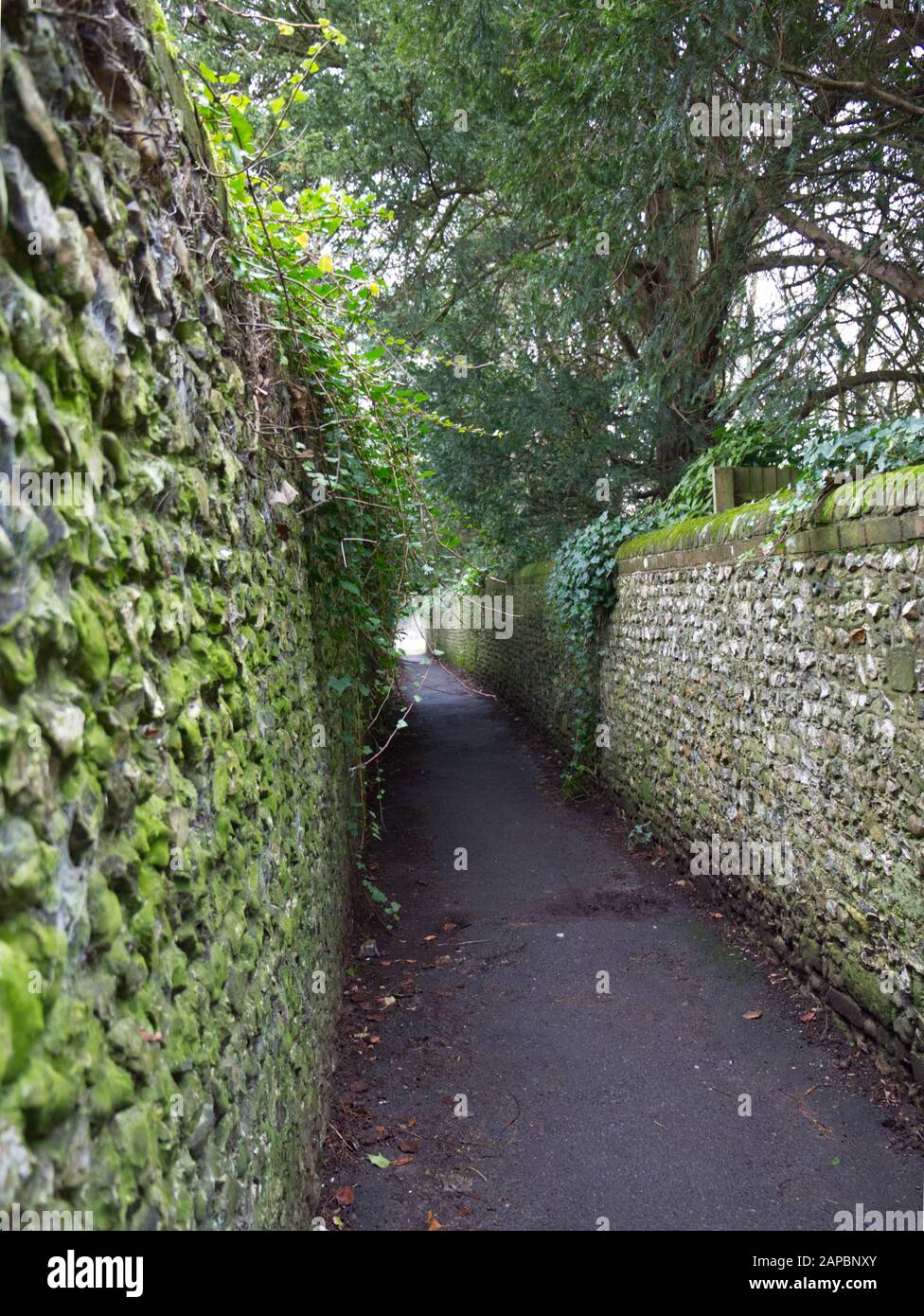 Country Lanes in England. Rich in foliage, wonderful walls, beautiful ...