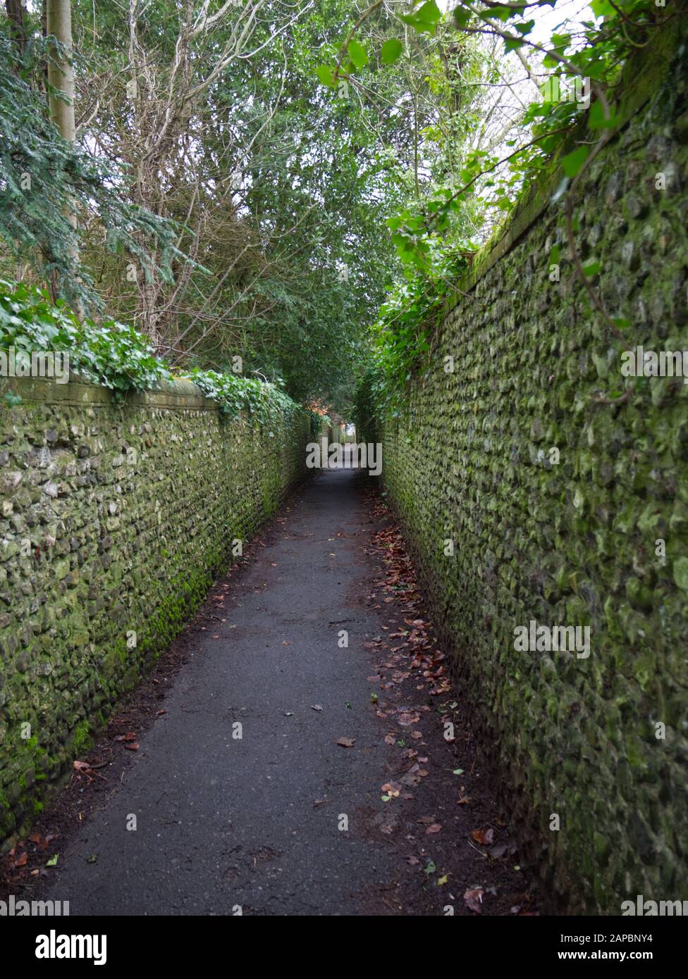 Country Lanes in England. Rich in foliage, wonderful walls, beautiful ...