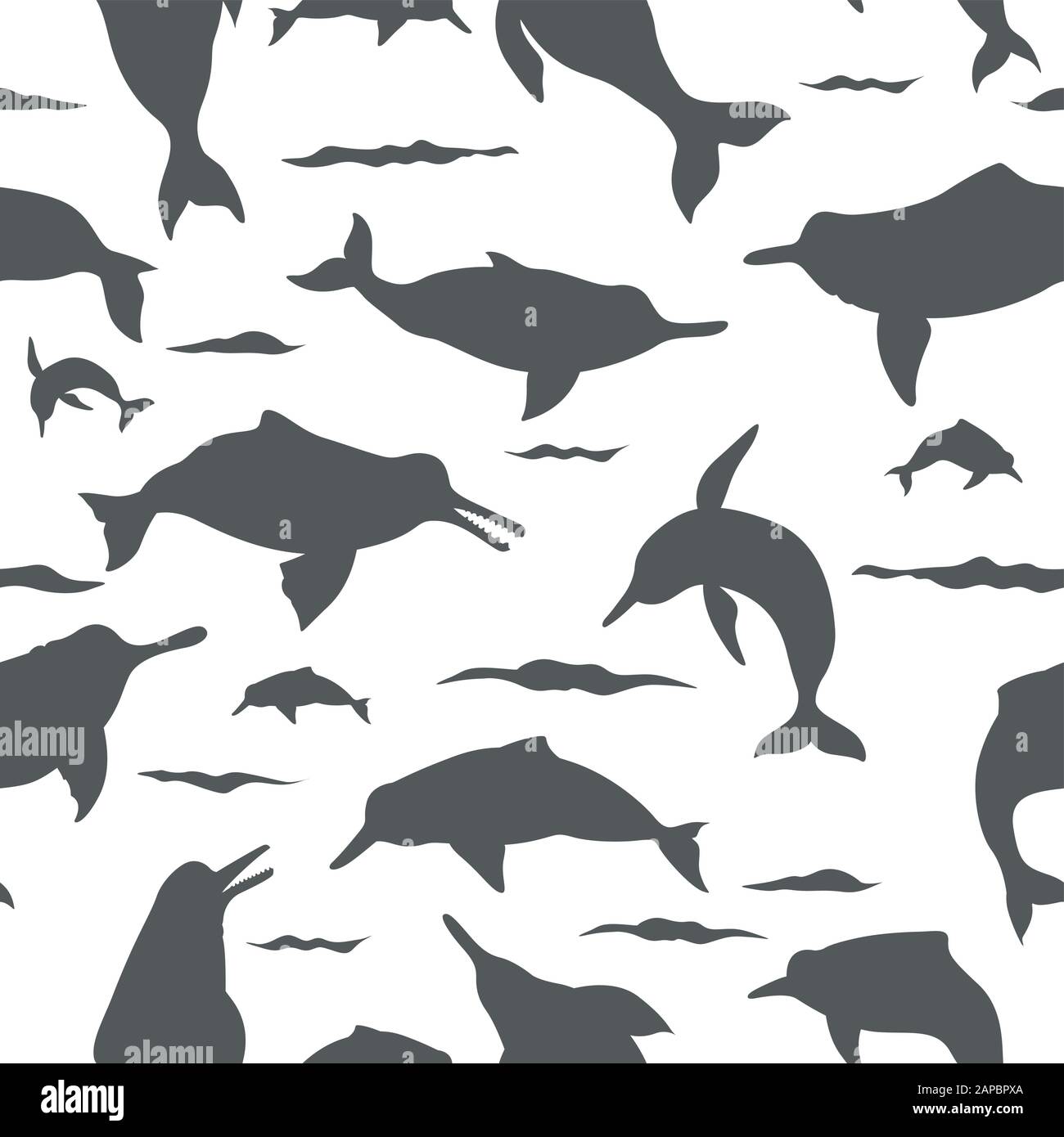 River dolphins seamless pattern. Marine mammals collection. Cartoon ... River dolphins seamless pattern. Marine mammals collection. Cartoon ...